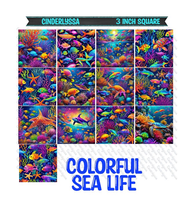 3 inch Square: Colorful Sea Life Theme Cardstock/Picture With Beveled ...